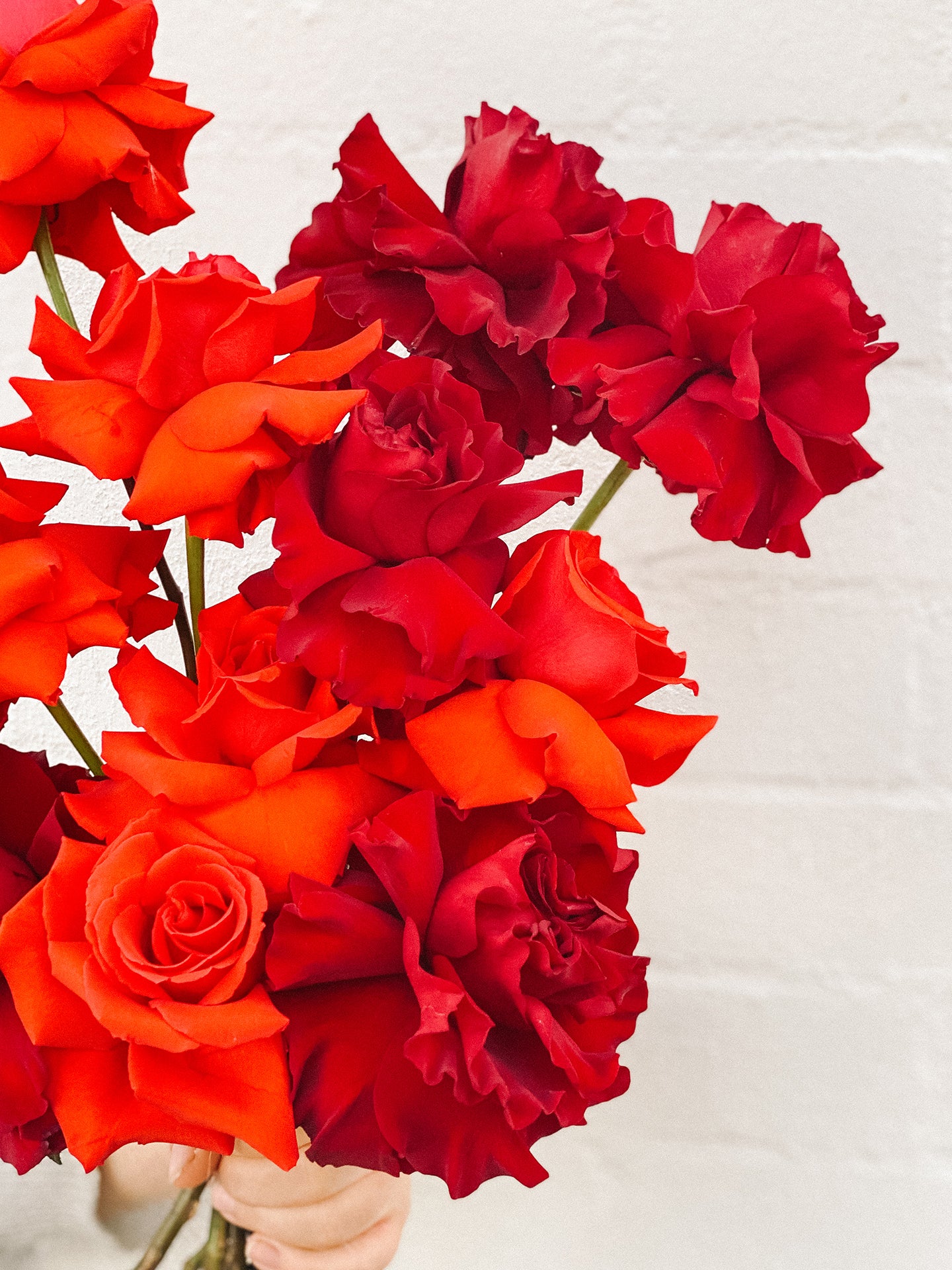 All My Love Roses | Roses Delivered | Hello Blooms Melbourne