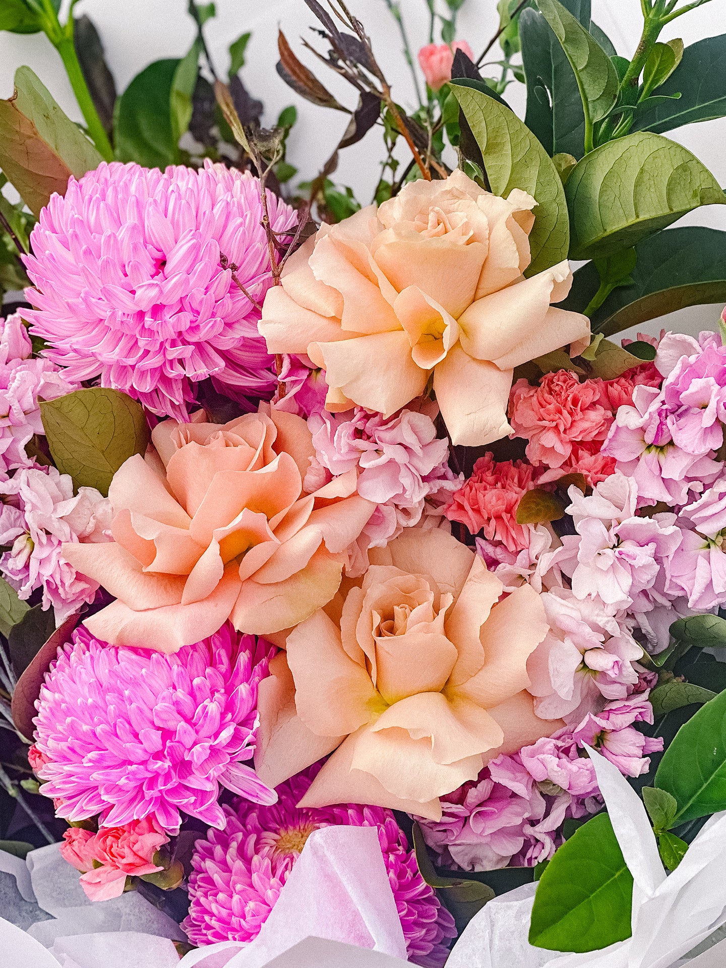 Colour Pop | Flowers Delivered | Hello Blooms Melbourne