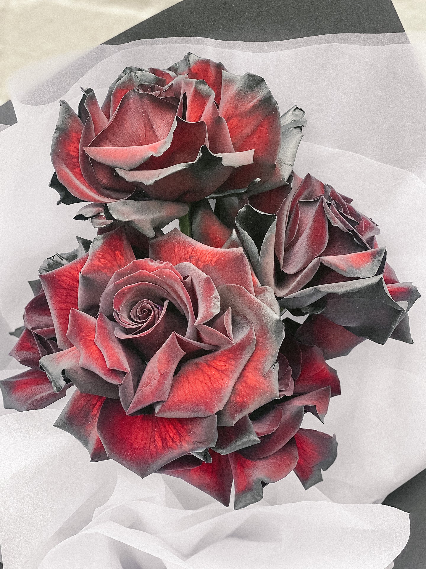 Black Roses | Flowers Delivered | Hello Blooms Melbourne