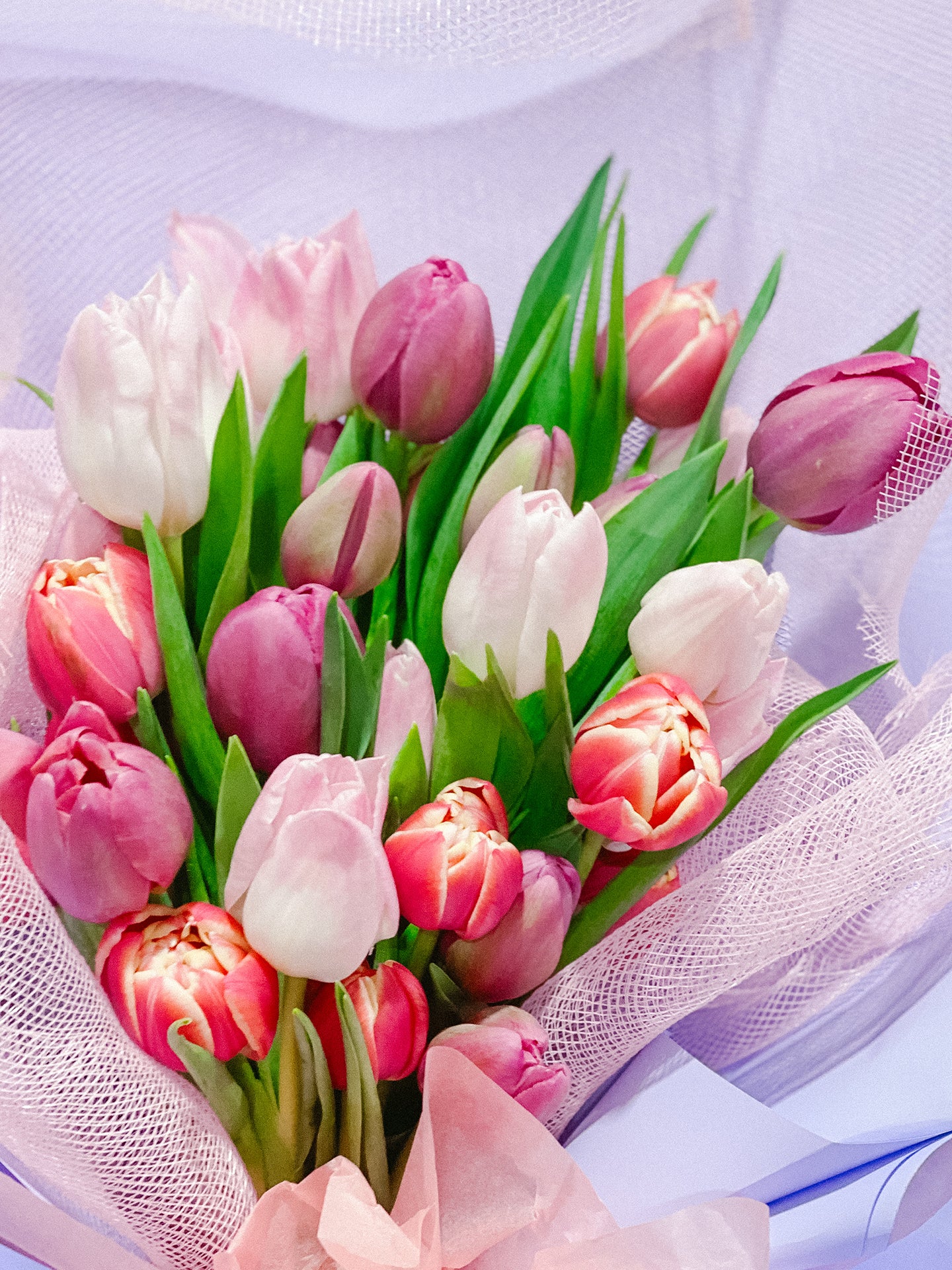 Mother's Day Tulips | Mother's Day Gifts | Hello Blooms Melbourne