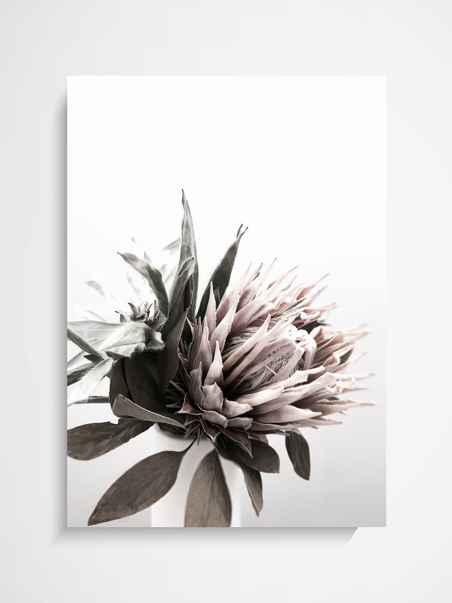 Add-On: A5 Floral Art Print | Flowers Delivered | Hello Blooms Melbourne