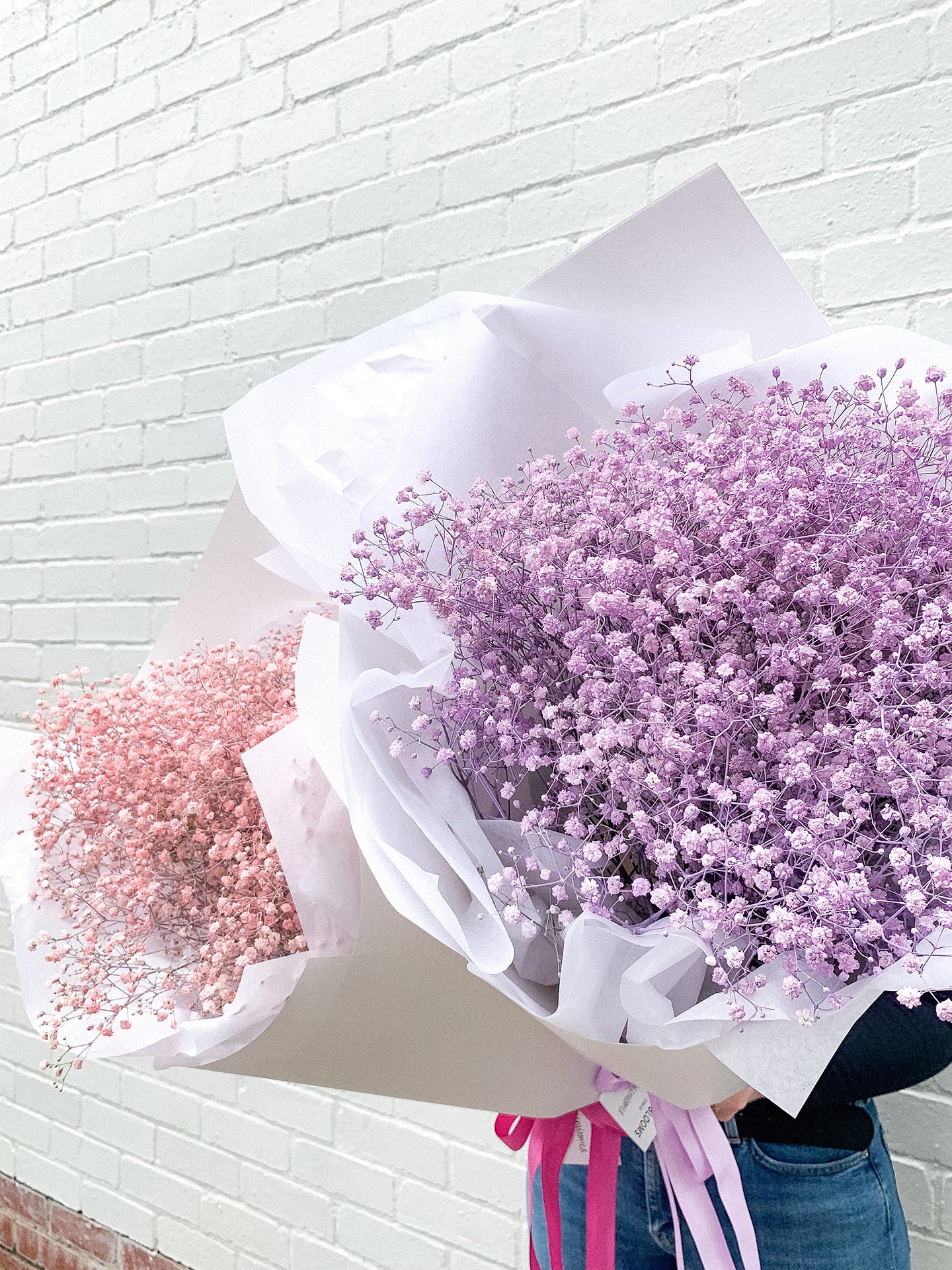 Dyed Gyp | Flowers Delivered | Hello Blooms Melbourne