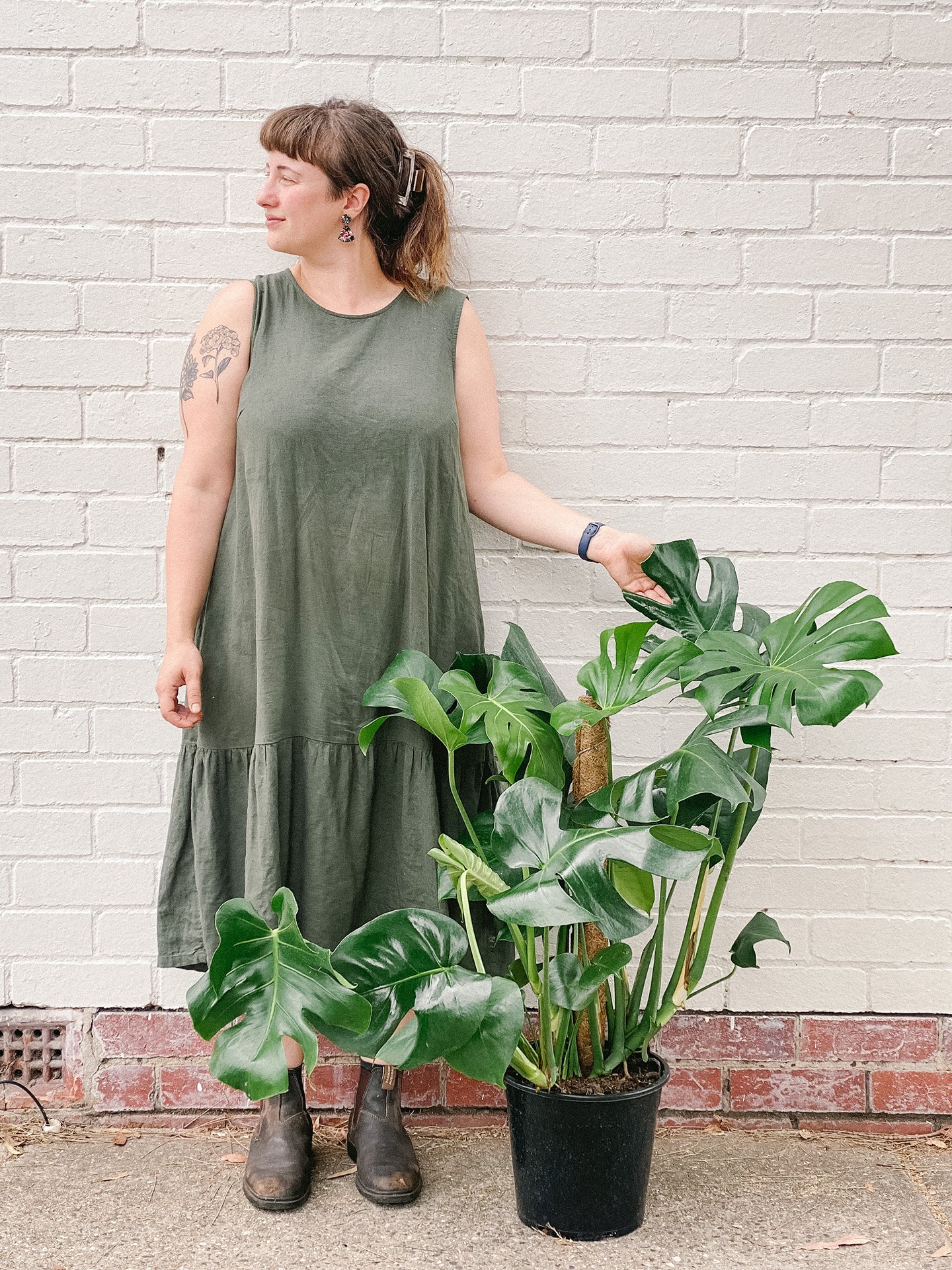 Monstera Deliciosa Totem 250mm | Plants Delivered | Hello Blooms