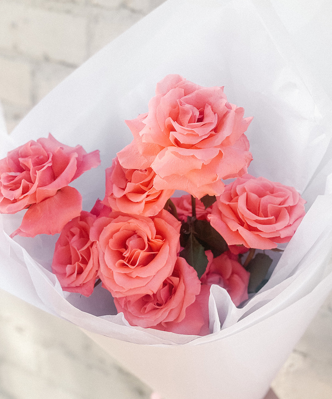 Amsterdam Rose | Flowers Delivered | Hello Blooms Melbourne